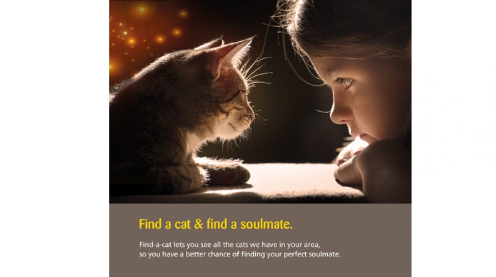 Cats Protection - the emotive power of audio visual - Hunterlodge